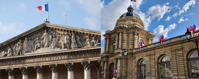 Bokep adv homemade1978 a sa surprise le gode ceinture XL